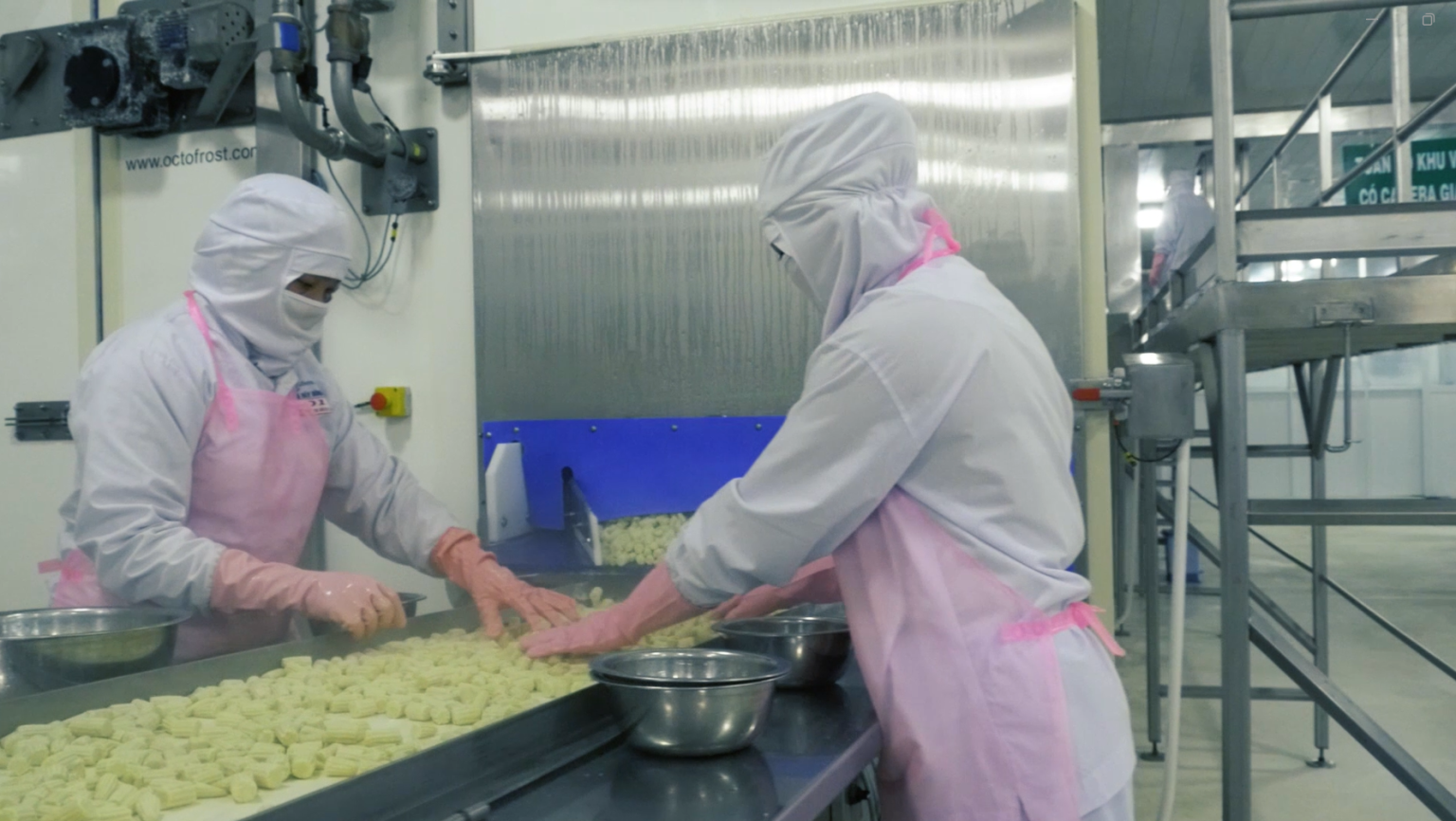 Blanqueadora con control preciso de la temperatura | Octofrost