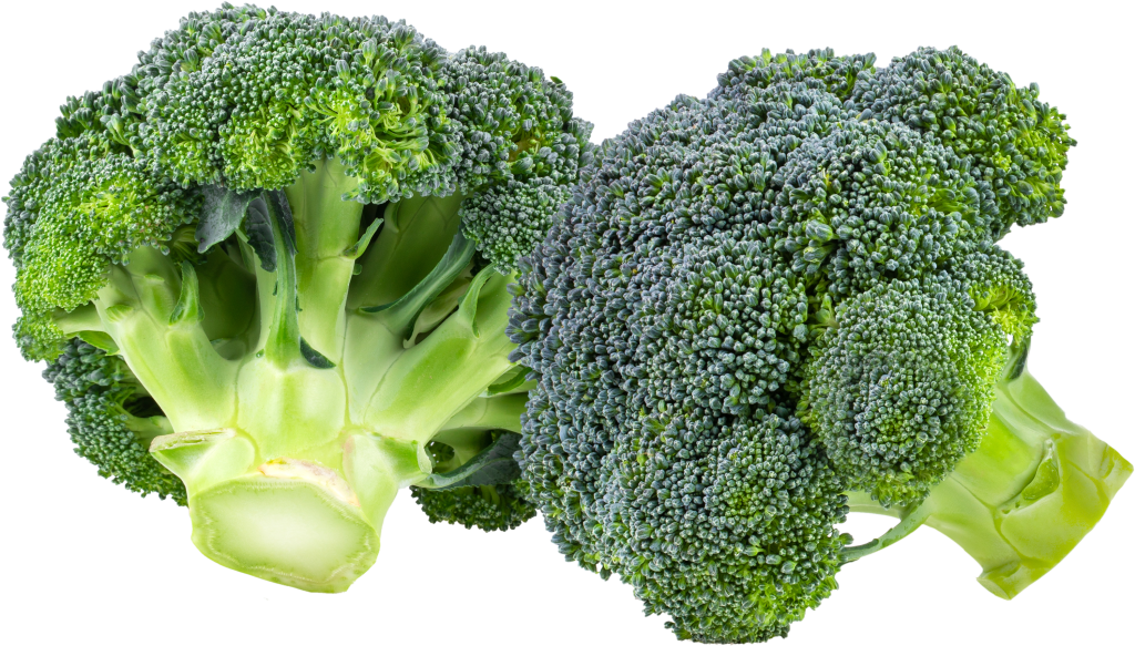 Equipo adecuado para procesar verduras IQF | Octofrost